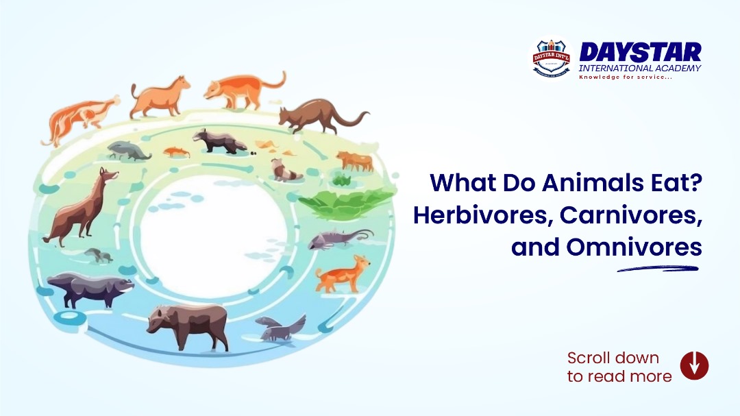 WHAT DO ANIMALS EAT? HERBIVORES, CARNIVORES AND OMNIVORES - Daystar ...